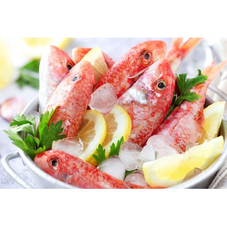 Achat et vente de rougets barbet en ligne par monbeaupoisson.fr
